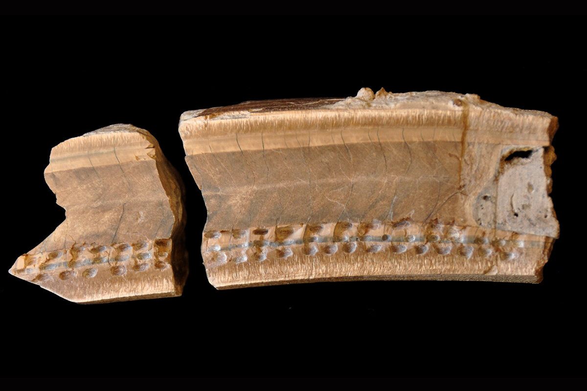 Nim Li Punit and Lubaantun Maya Ruins - What You Need to Know